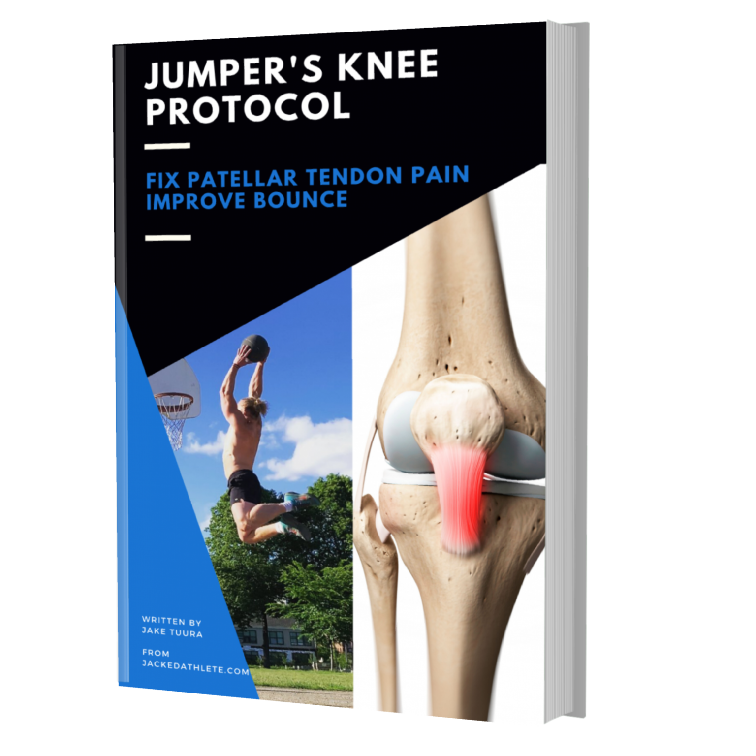 3 Concepts for Juicy Tendons — JACKED ATHLETE